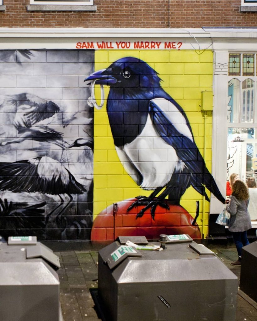 Love Birds – Tymon de Laat